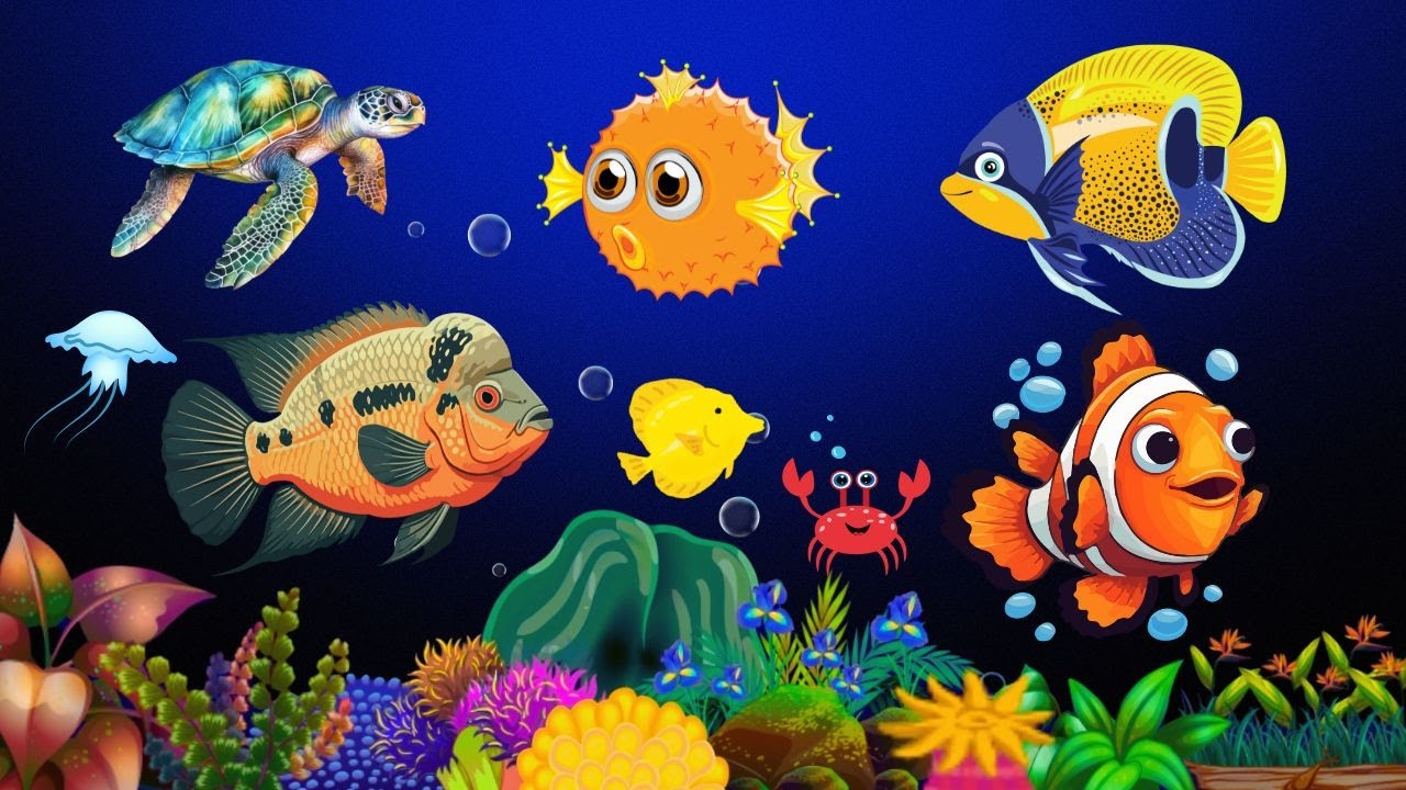 Soothing fishes🐟Calming Undersea Animation🐟Aquarium💤Baby Lullaby🐠Fish ...