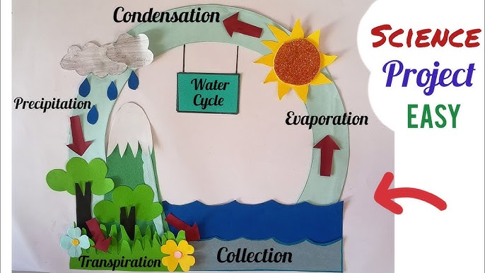 Water Cycle Projects For 7th Grade