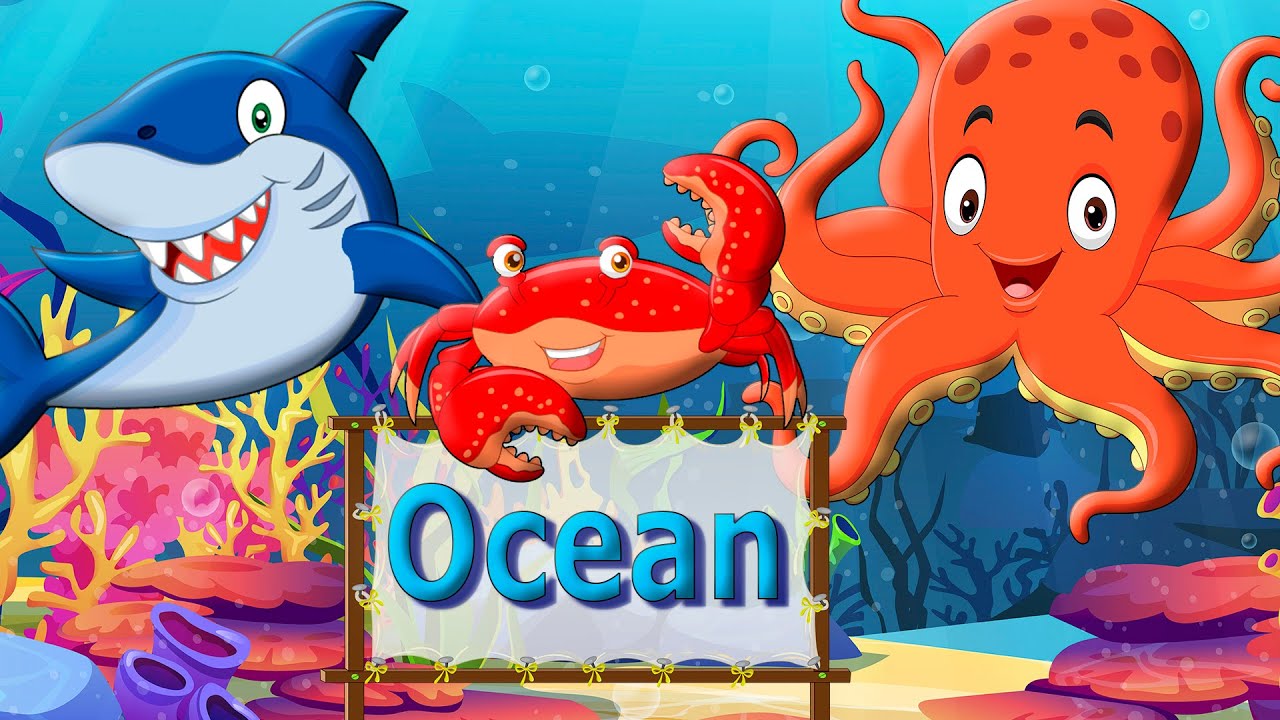 10 Ocean Creatures | Let's read with Leo! - YouTube