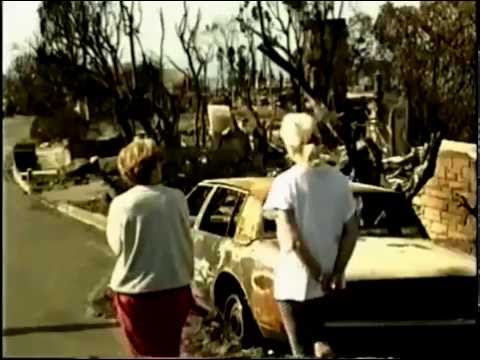 Laguna Fire 1993