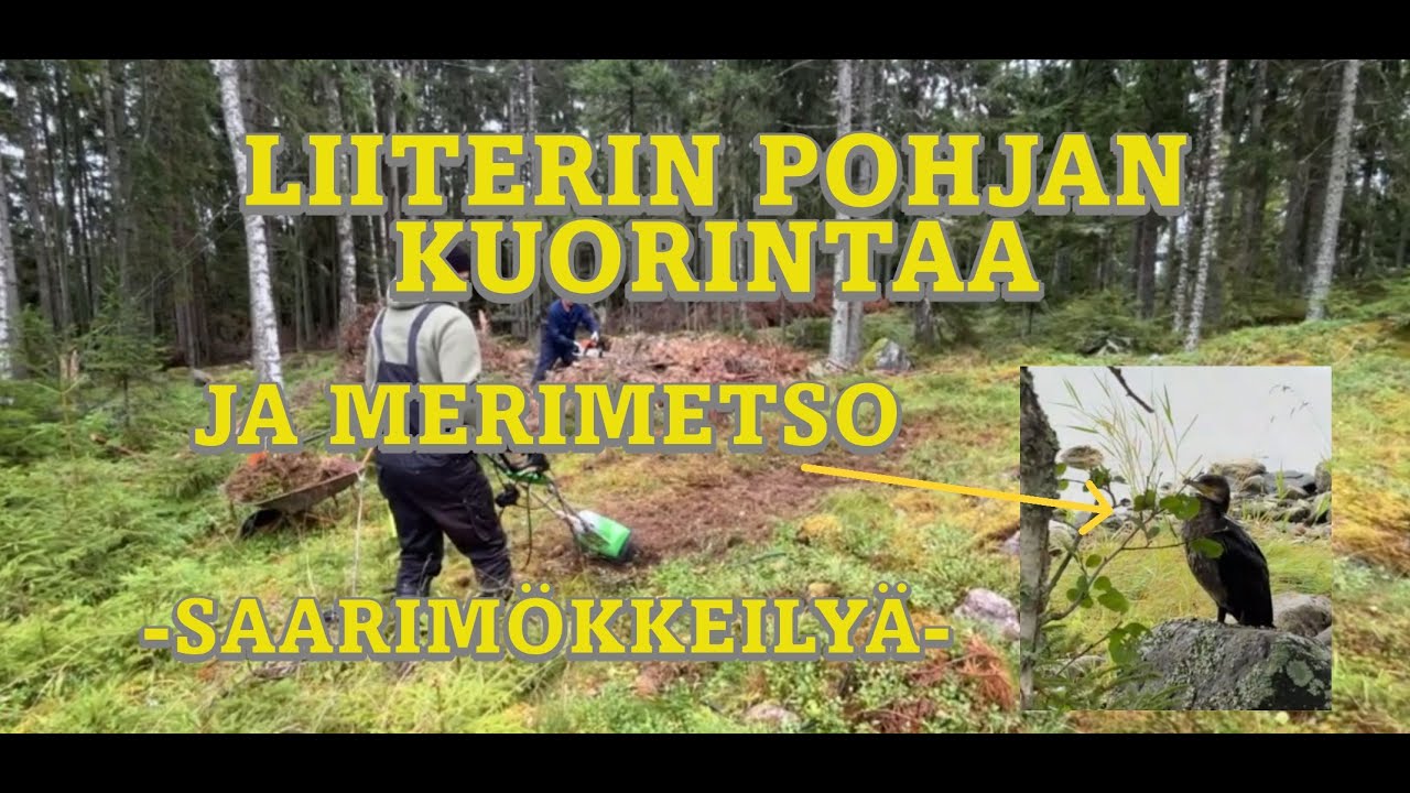 Liiterin pohjan kuorintaa ja merimetso? -Saarimökkeilyä (jakso 26 ...