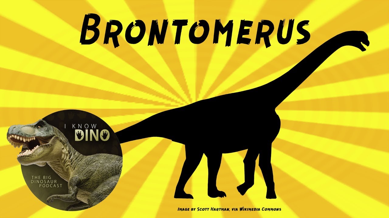 Brontomerus: Dinosaur of the Day - YouTube