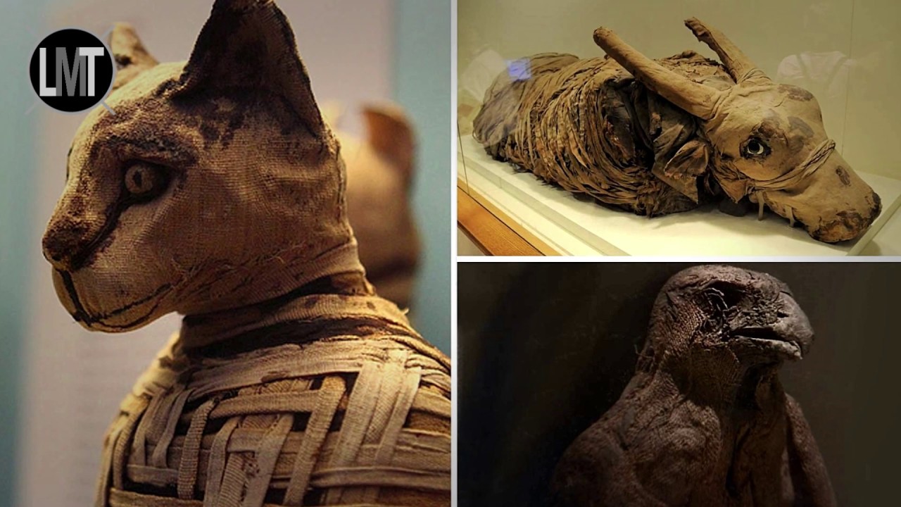 7 Objets Les Plus Étranges Trouvés Dans Les Pyramides D'Egypte - YouTube