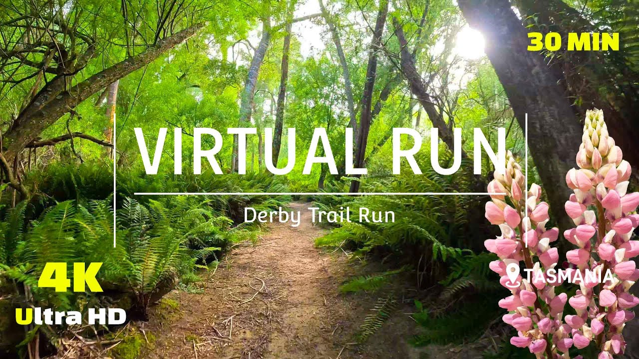 Virtual Running Videos for Treadmill - Virtual Run 4K - Valley Ponds ...