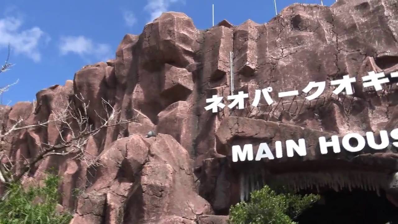 Neo Park Okinawa - YouTube
