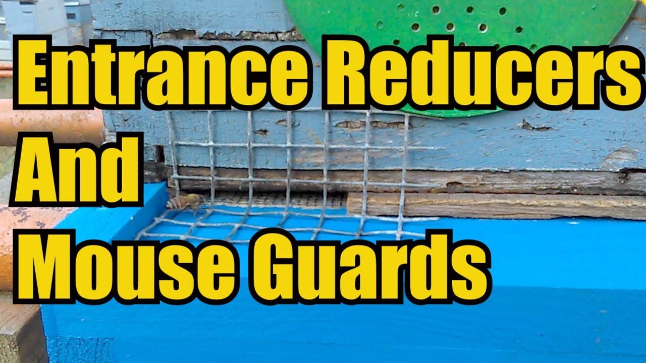 Entrance Reducers And Mouse Guards - YouTube