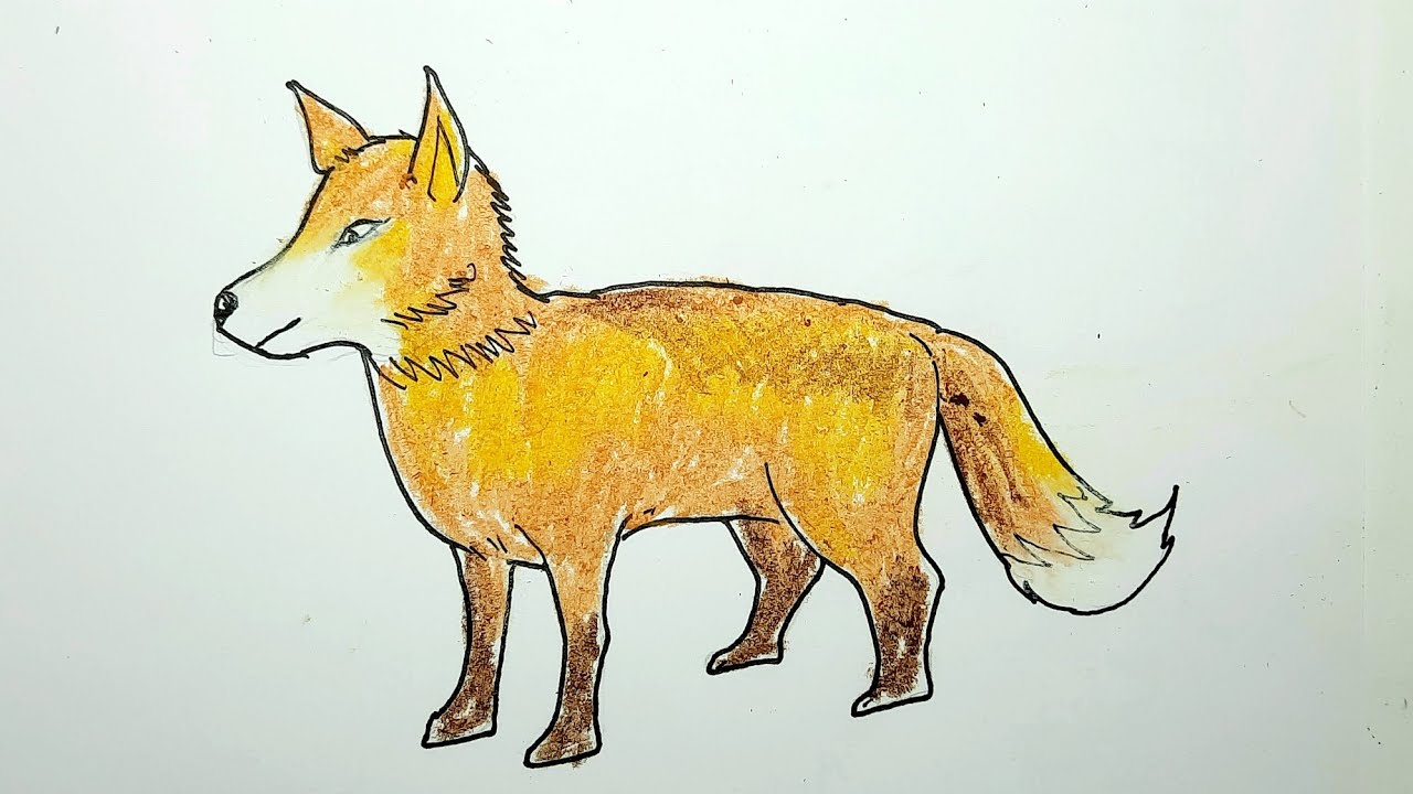 How to Draw A Wolf Step by Step | Drawing A Wolf Easy - YouTube