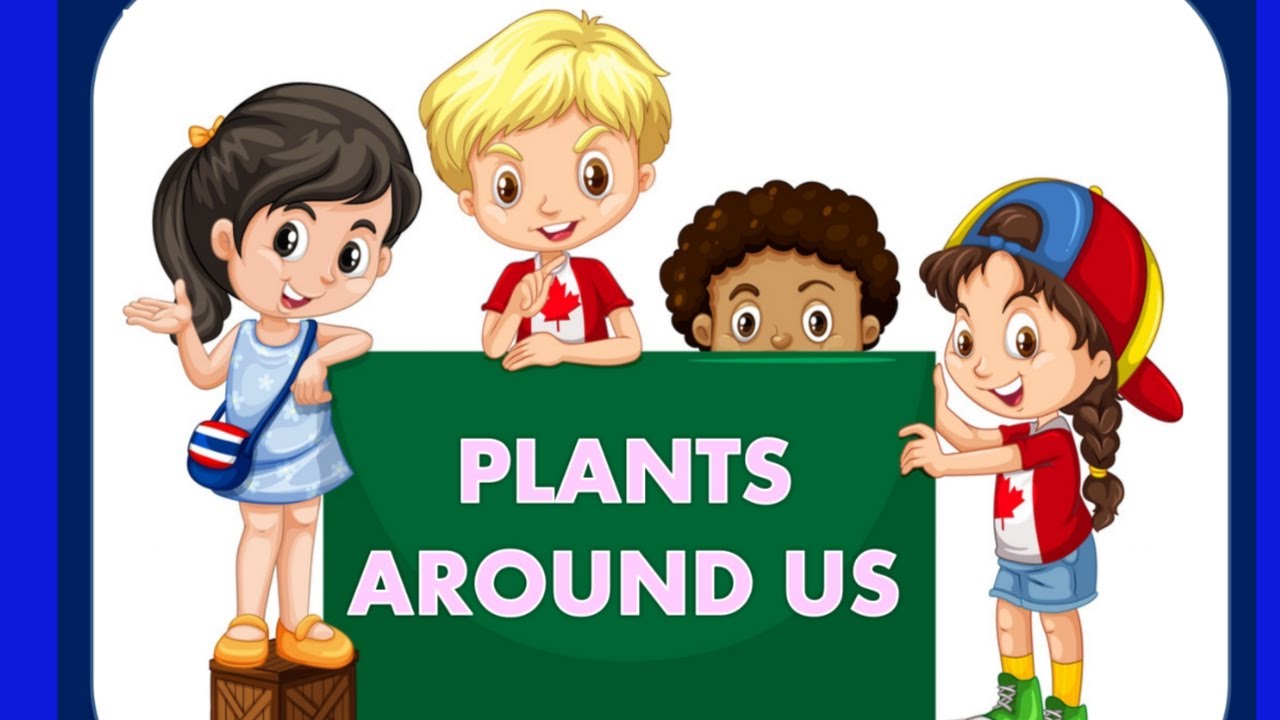 Plant Around Us| Types of Plants| Different types of Trees| Uses Plants ...