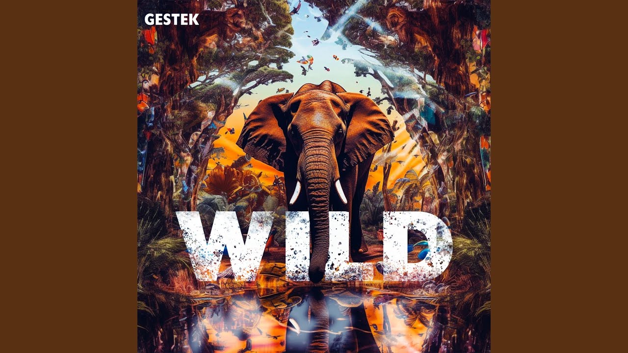 Wild - YouTube