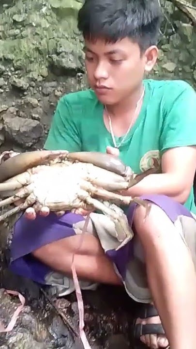 #viralshort #trending #song #crab - YouTube