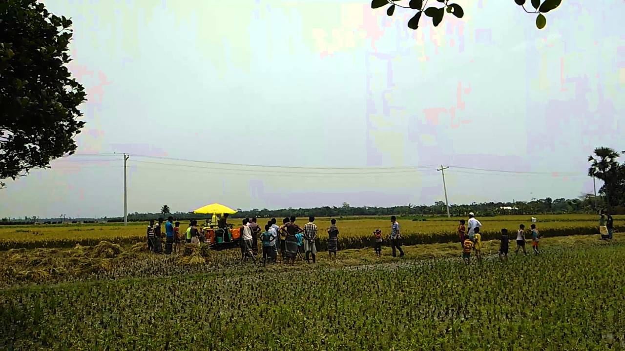 KYM mini rice combined Harvester - YouTube