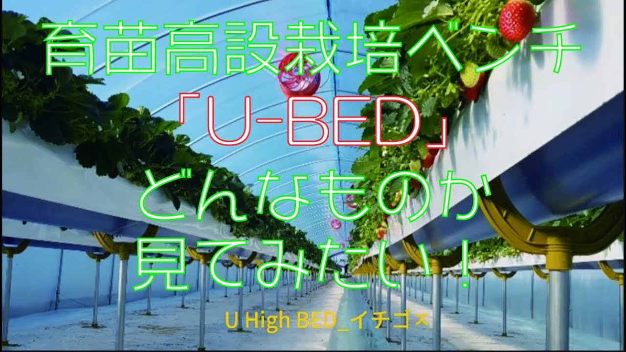 育苗高設栽培ベンチ【U-BED】(T-BED含)ってどんな感じ？設置導入の様子を纏めました。 - YouTube