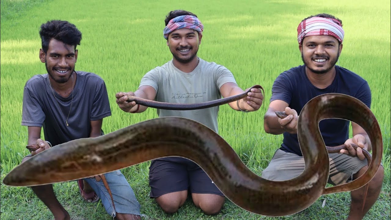 কুচে মাছের রেসিপি | Kuche Mach Cutting and Cooking | High Blood ...