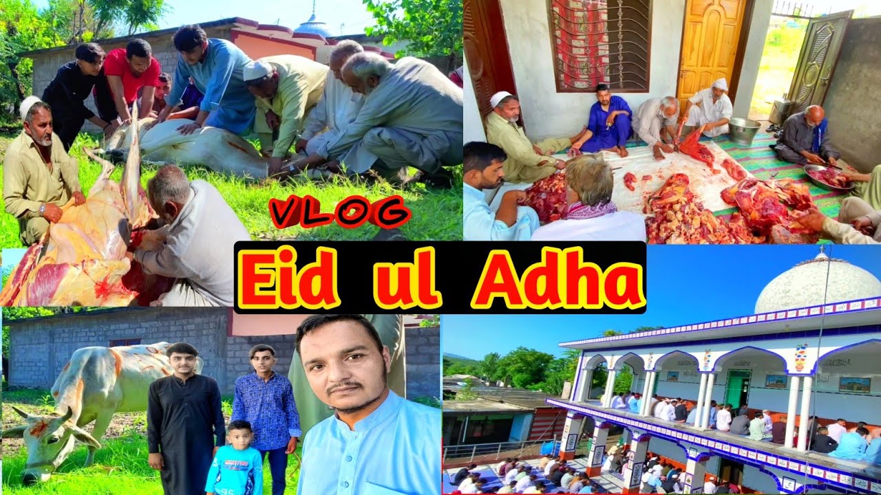 A Blessed Eid ul Adha 🐄 in Bokara Mandhole, Azad Kashmir - Embracing ...