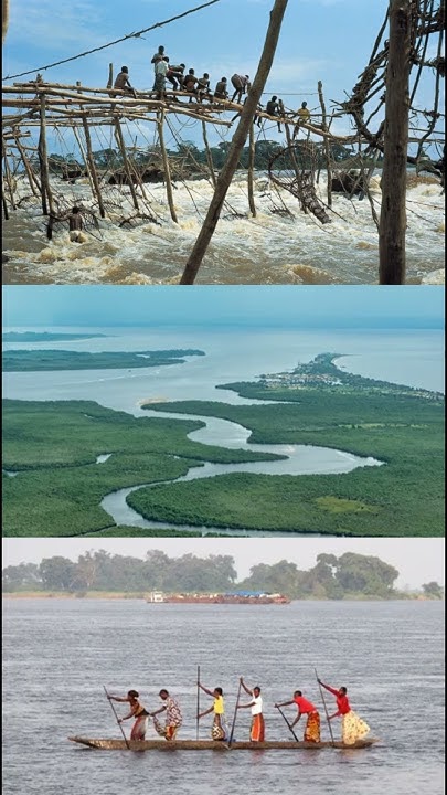 The Congo River: Africa's Hidden Treasure #congo #river #geography ...