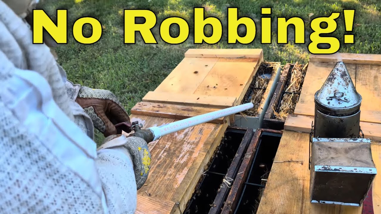 Inspect without Robbing Issues! - YouTube