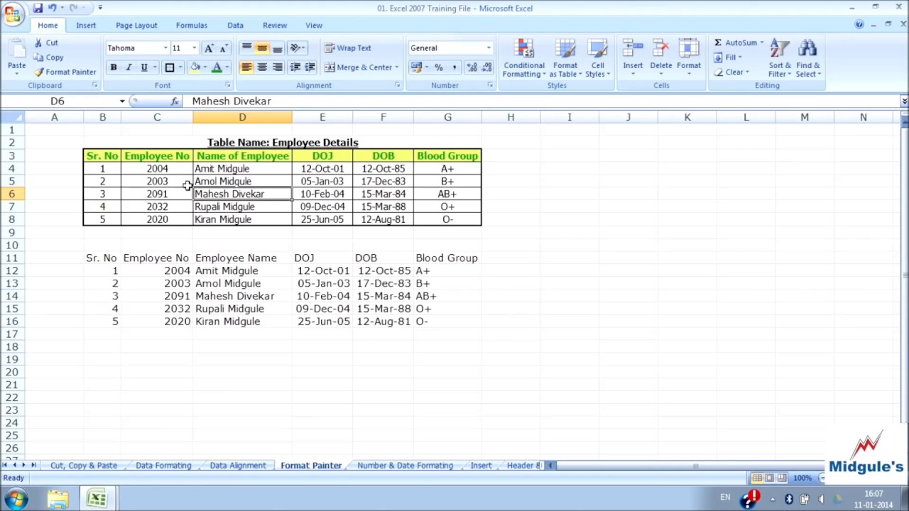 Use Of Format Painter In Excel YouTube Use Of Format Painter In Excel YouTube