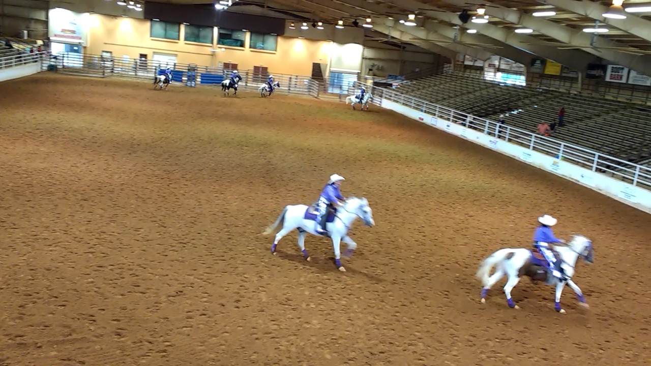 Drill team competition- Rodeo - YouTube