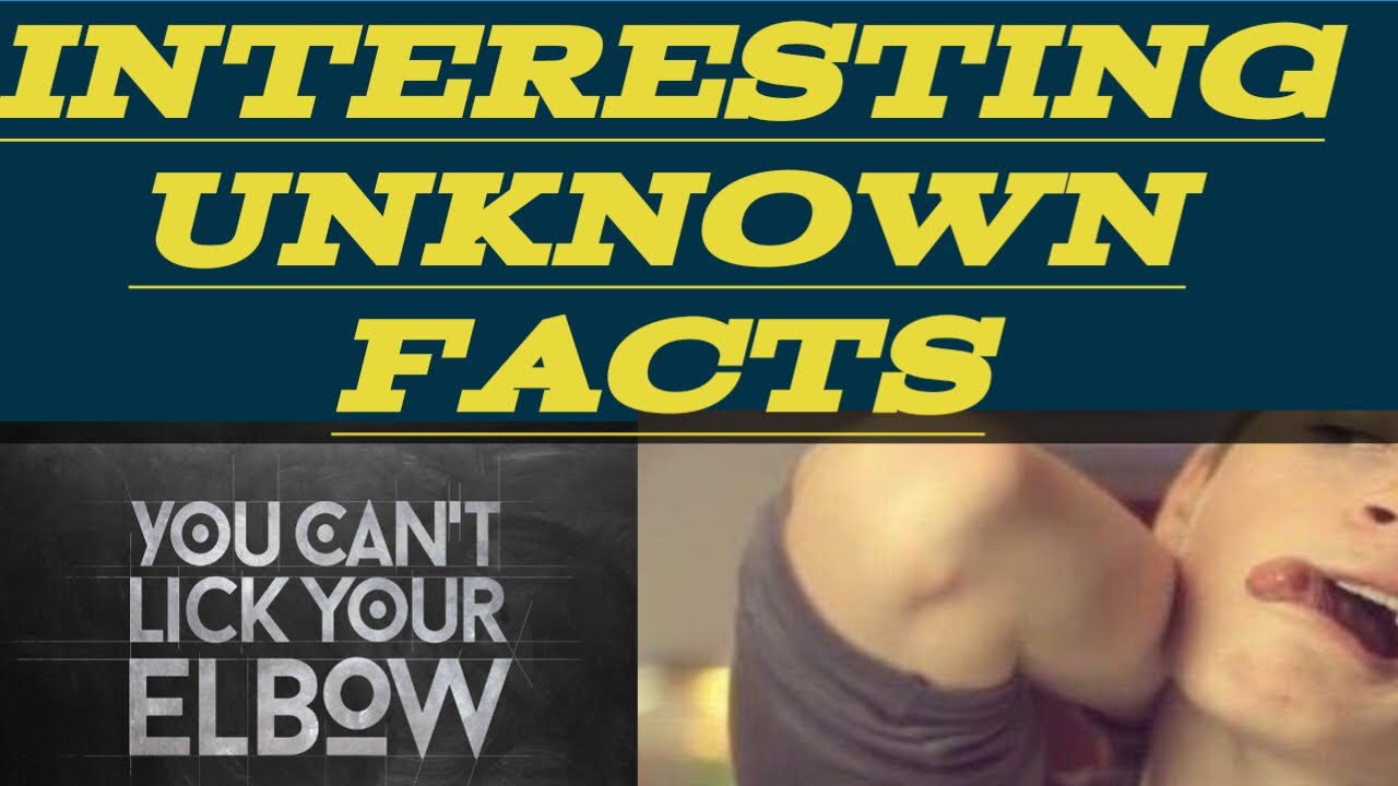 INTERESTING UNKNOWN FACTS JOAHANS WONDERWORLD YouTube interesting-unknown-facts-joahans-wonderworld-youtube
