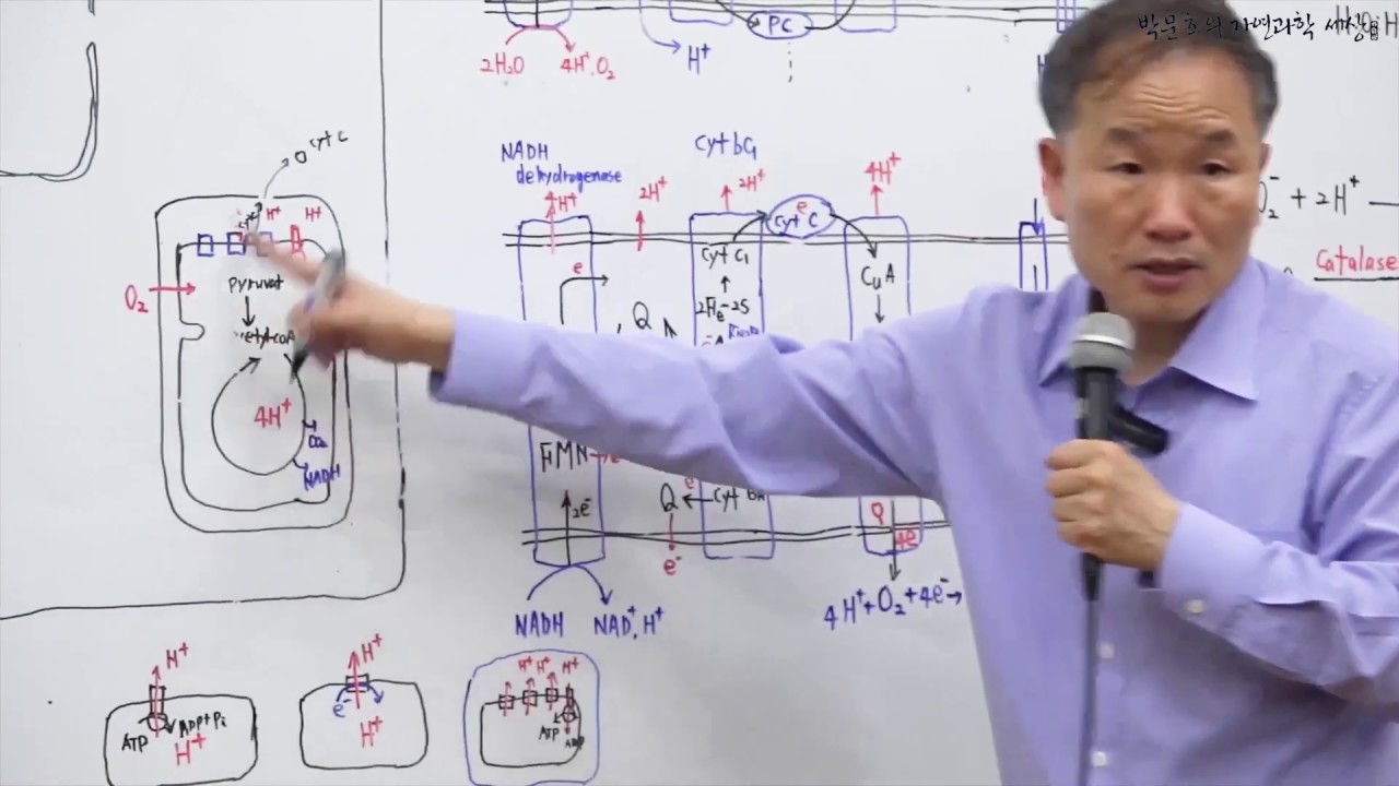 활성산소를 가두기 위한 노력 - YouTube