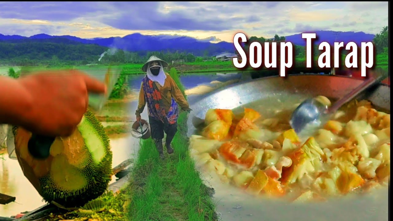 Tarap Chicken Soup | Borneo's Unique Tropical Fruit,Sup tarap terjun ...