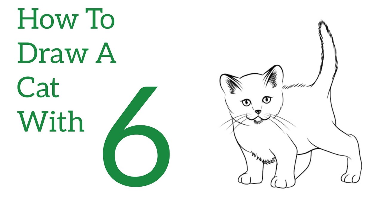 How To Draw A Cat || How To Draw A Cat With Number || - YouTube