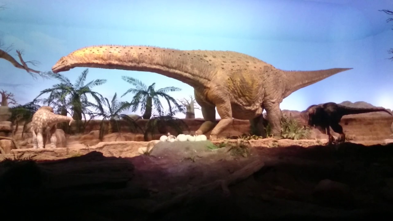 Gondwana Park Saarland - YouTube