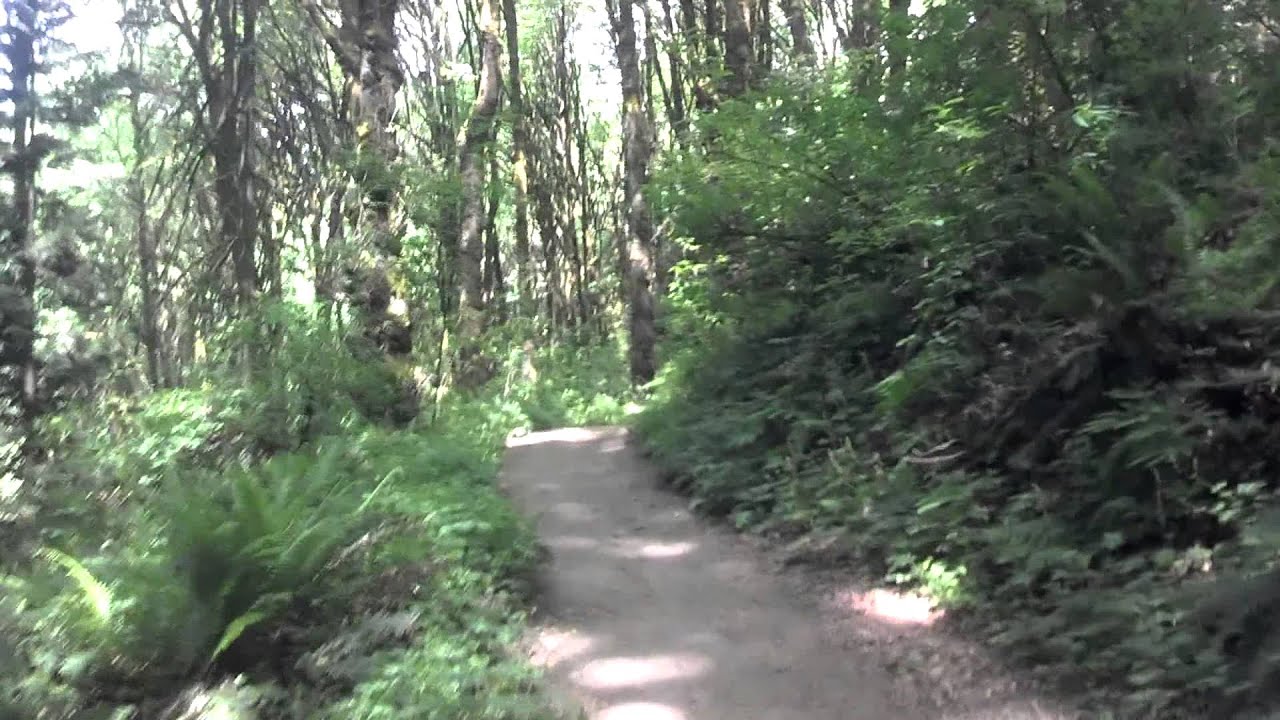 Boring Nature video - YouTube