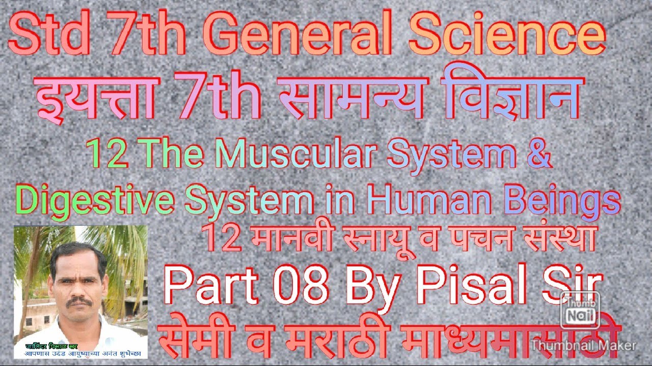 Std 7th General Science Ch 12 The Muscular System & Digestive System in Human Beings Part 08 ...