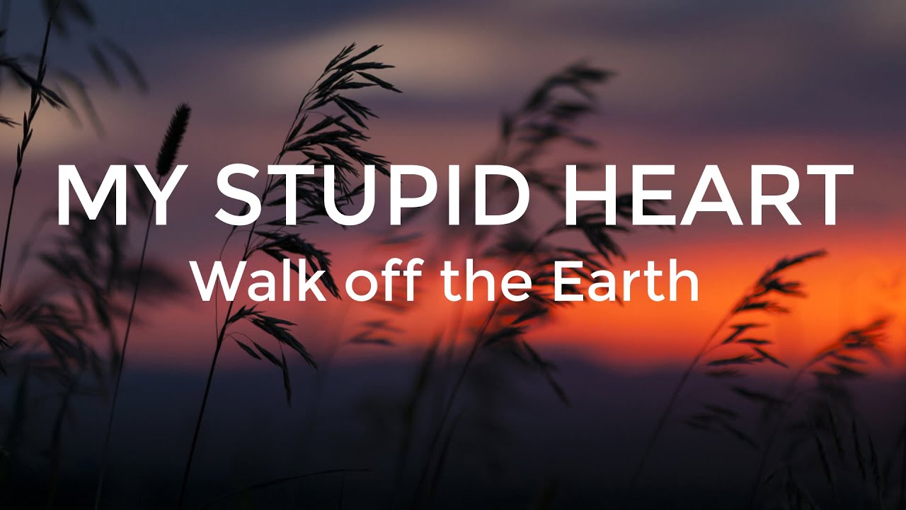 Walk off the Earth - My Stupid Heart (Lyrics) - YouTube