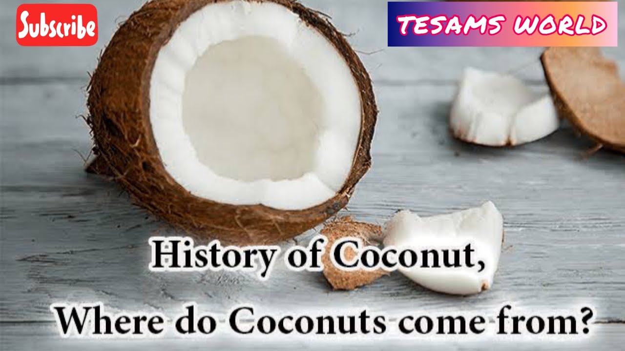 Must Watch: History And Importance Of Coconut 🌴 - YouTube