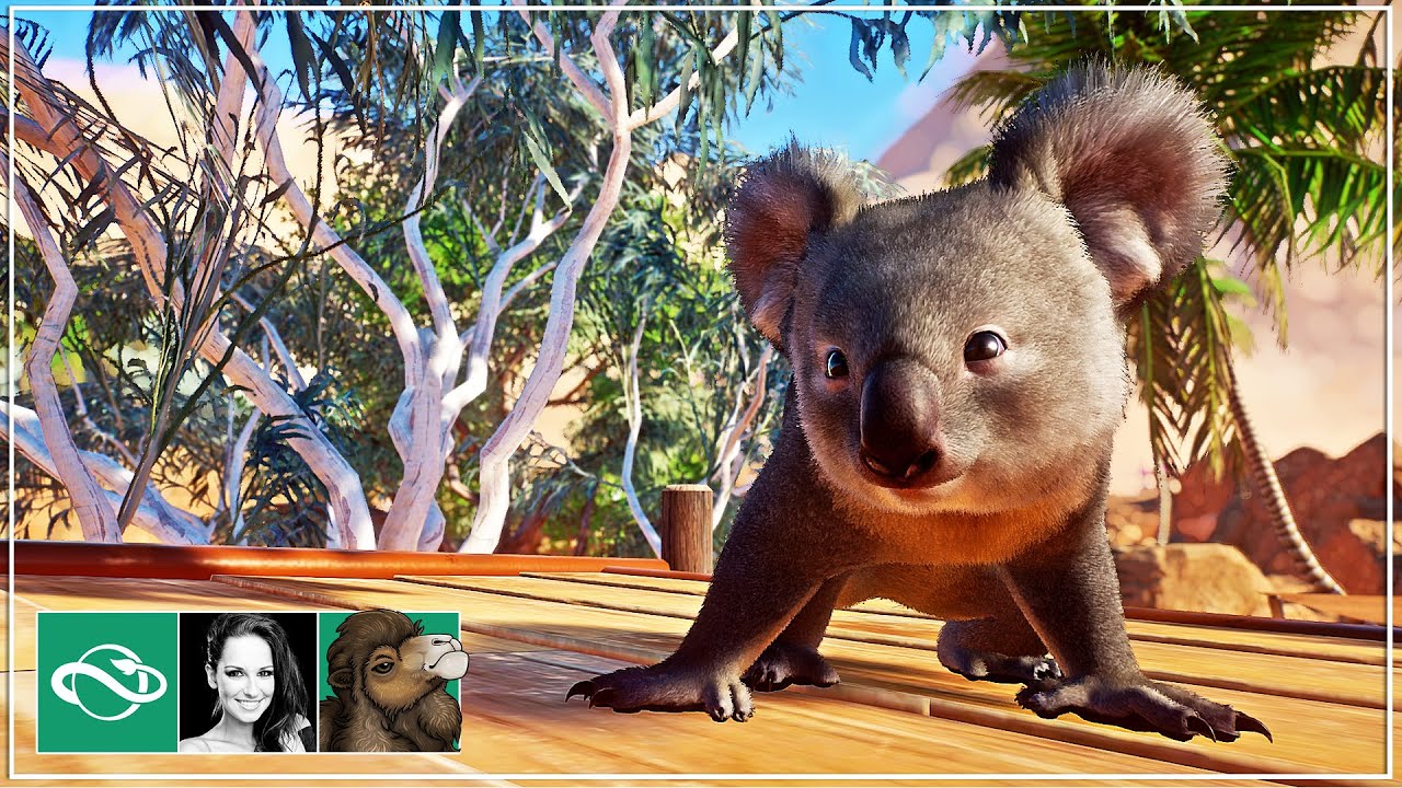 Planet Zoo Koala at Melina Baker blog