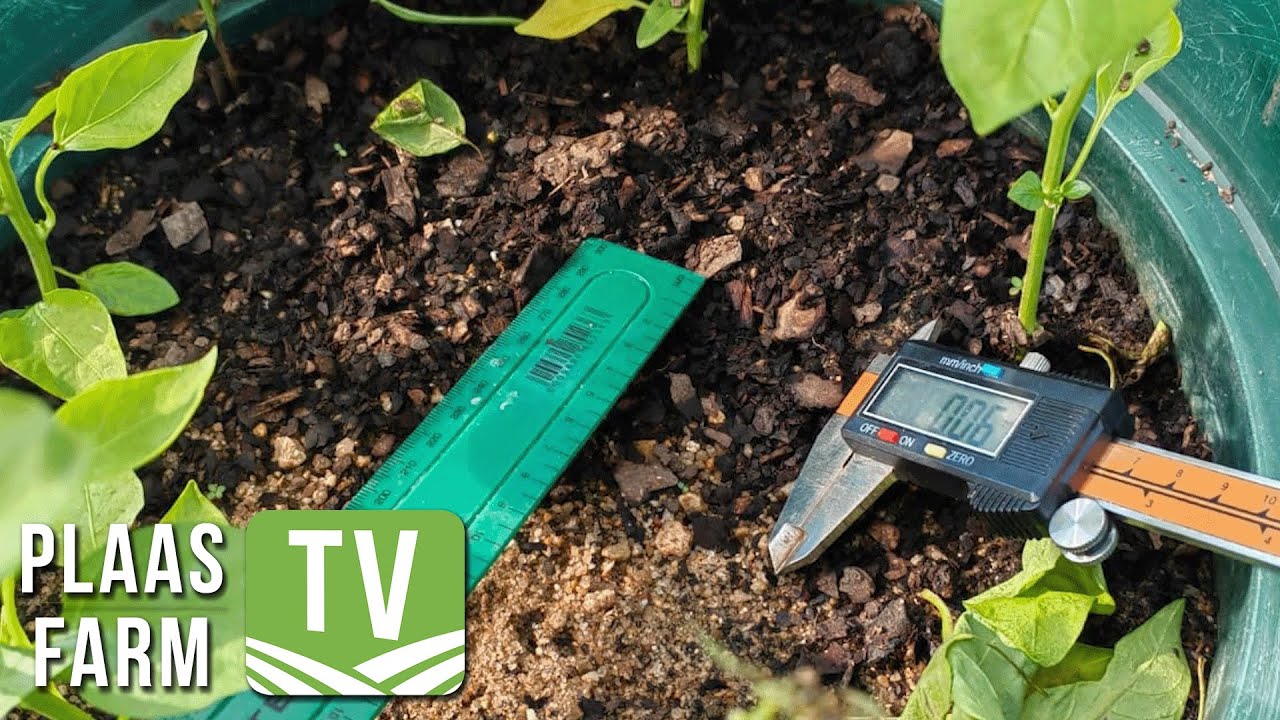 Research within the ARC: Dr Grace Tefu - YouTube