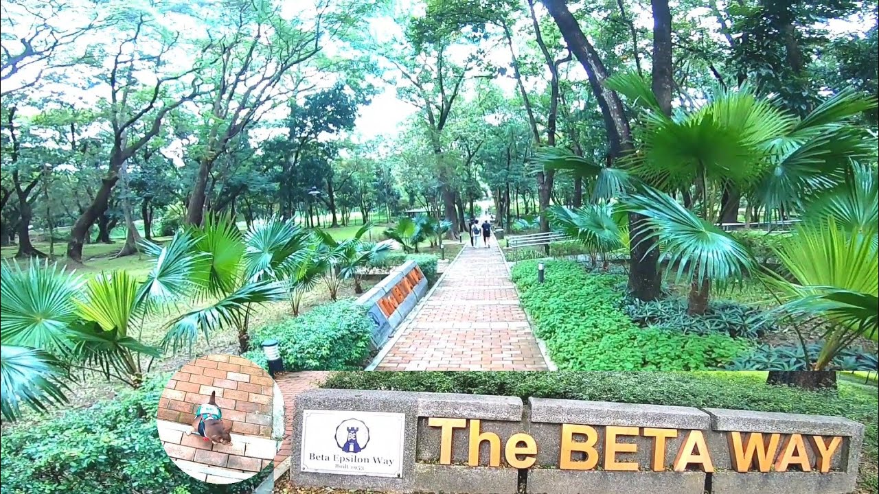 UNIVERSITY OF THE PHILIPPINES, BETA EPSILON WAY, LET'S WALKING AT BITA ...