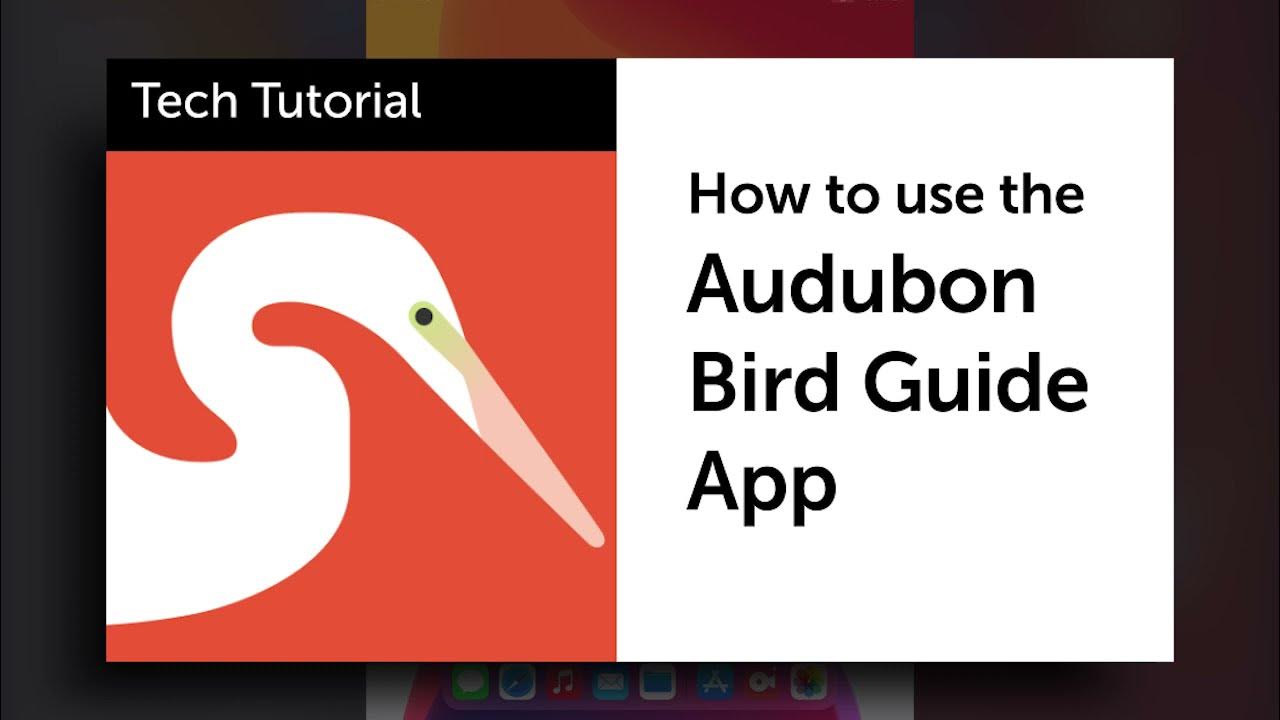 Tech Tutorial: Audubon Bird Guide App - YouTube