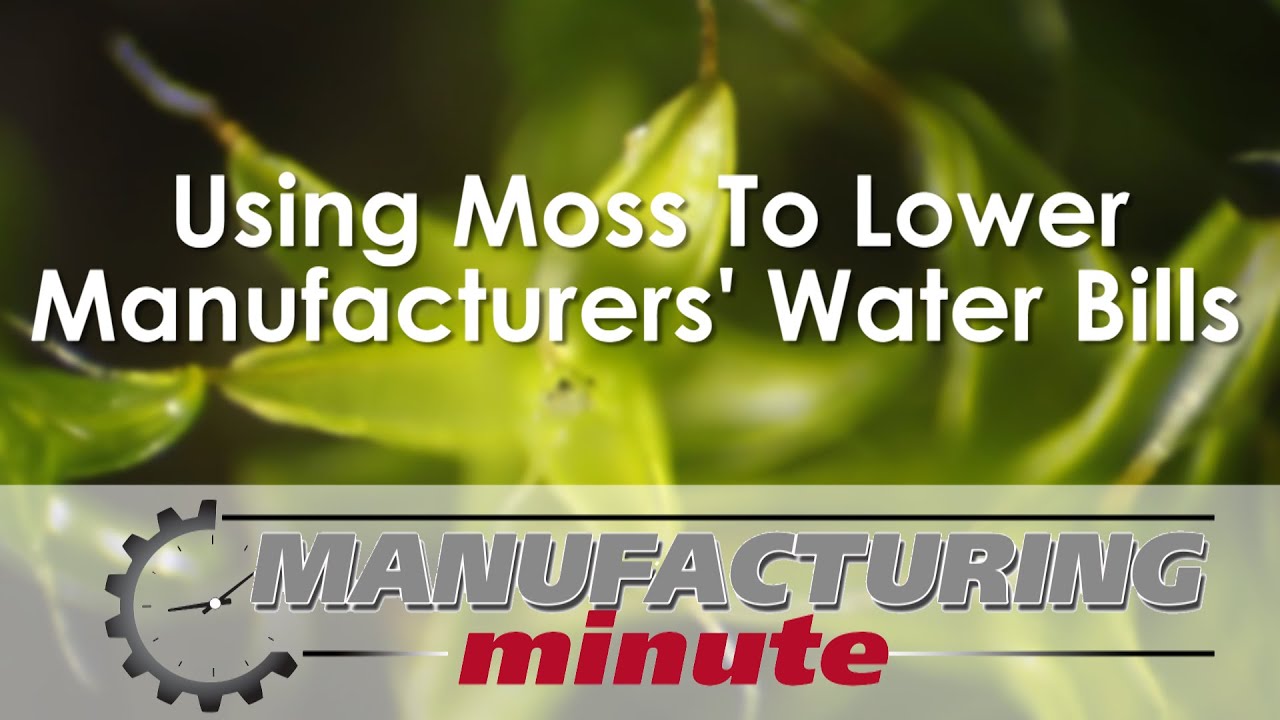 Manufacturing Minute: Using Moss To Lower Manufacturers' Water Bills ...