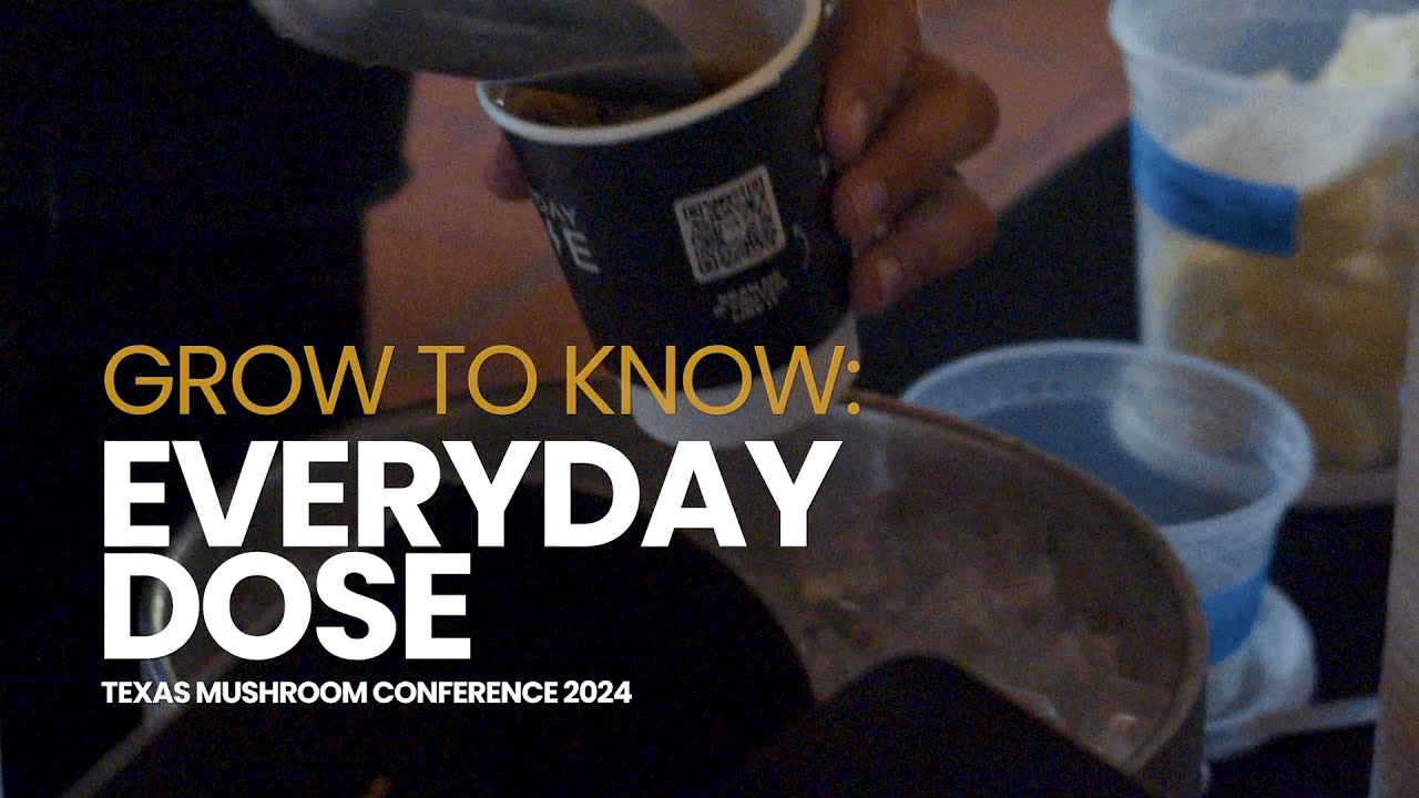 From ADHD Meds to Mushroom Coffee: How I Created a Healthier Energy ...