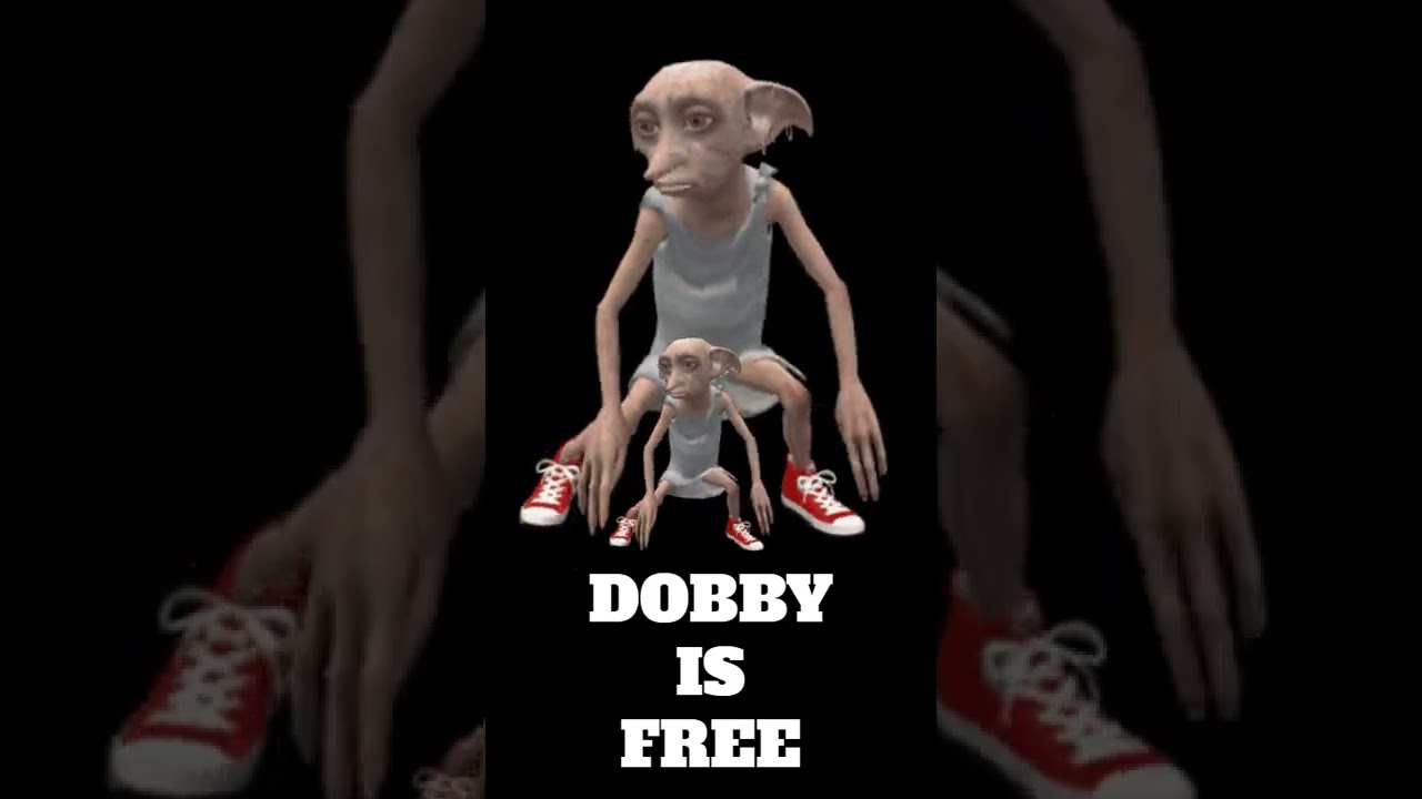 Dobby Is Free Gif