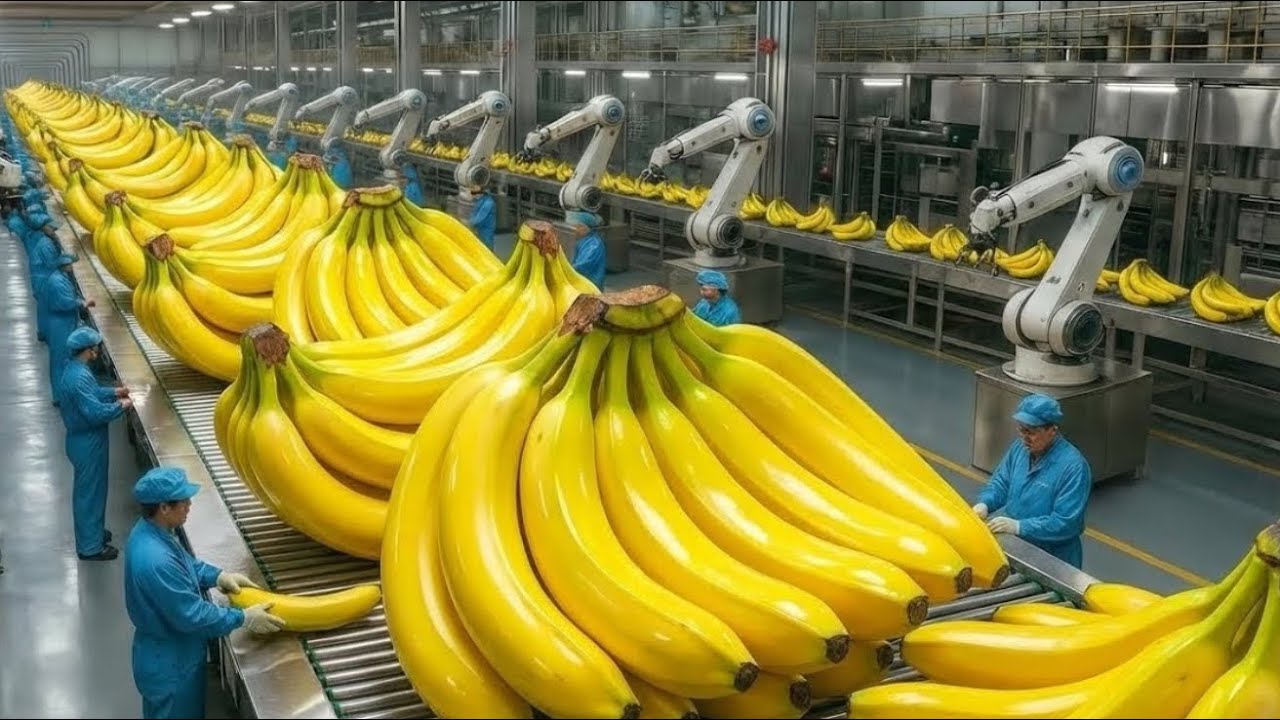 Inside the Banana Factory: From Fresh Bananas to Delicious Desserts ...