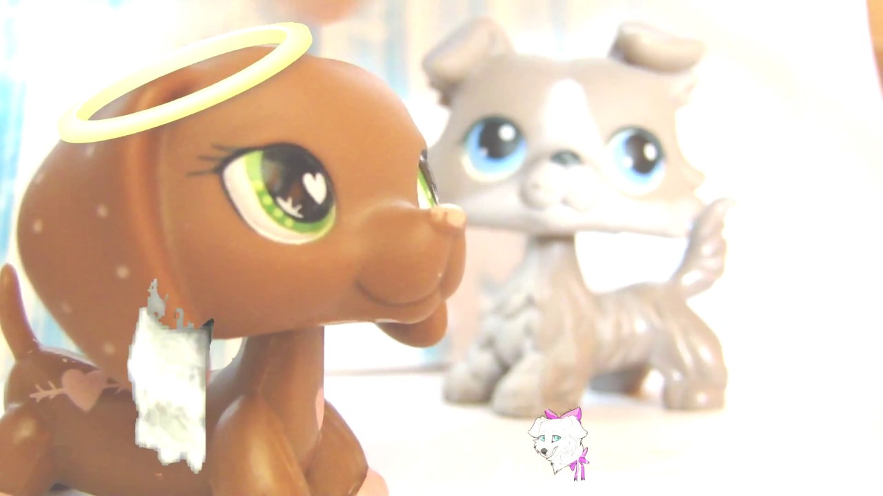 Littlest Pet Shop LPS MV: Angels - YouTube