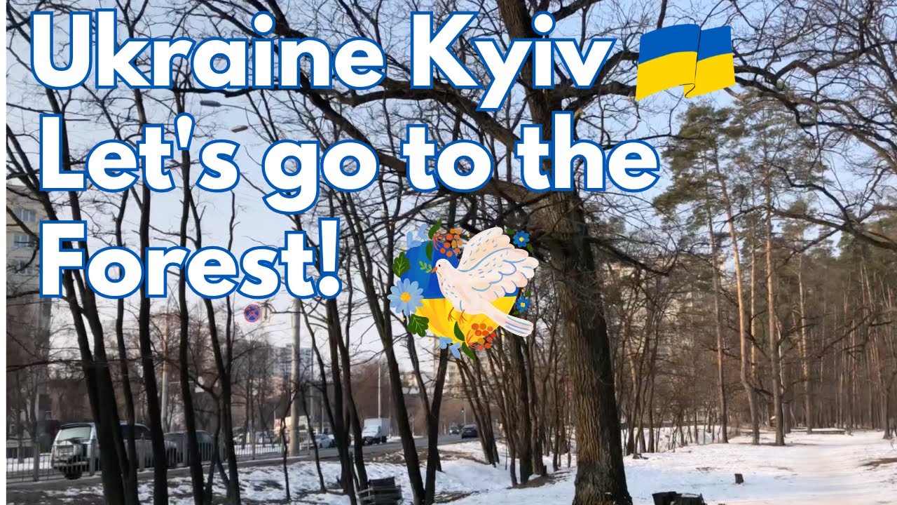 Ukraine Kyiv forest in the city. Walk in the Kyiv forest ASMR February ...