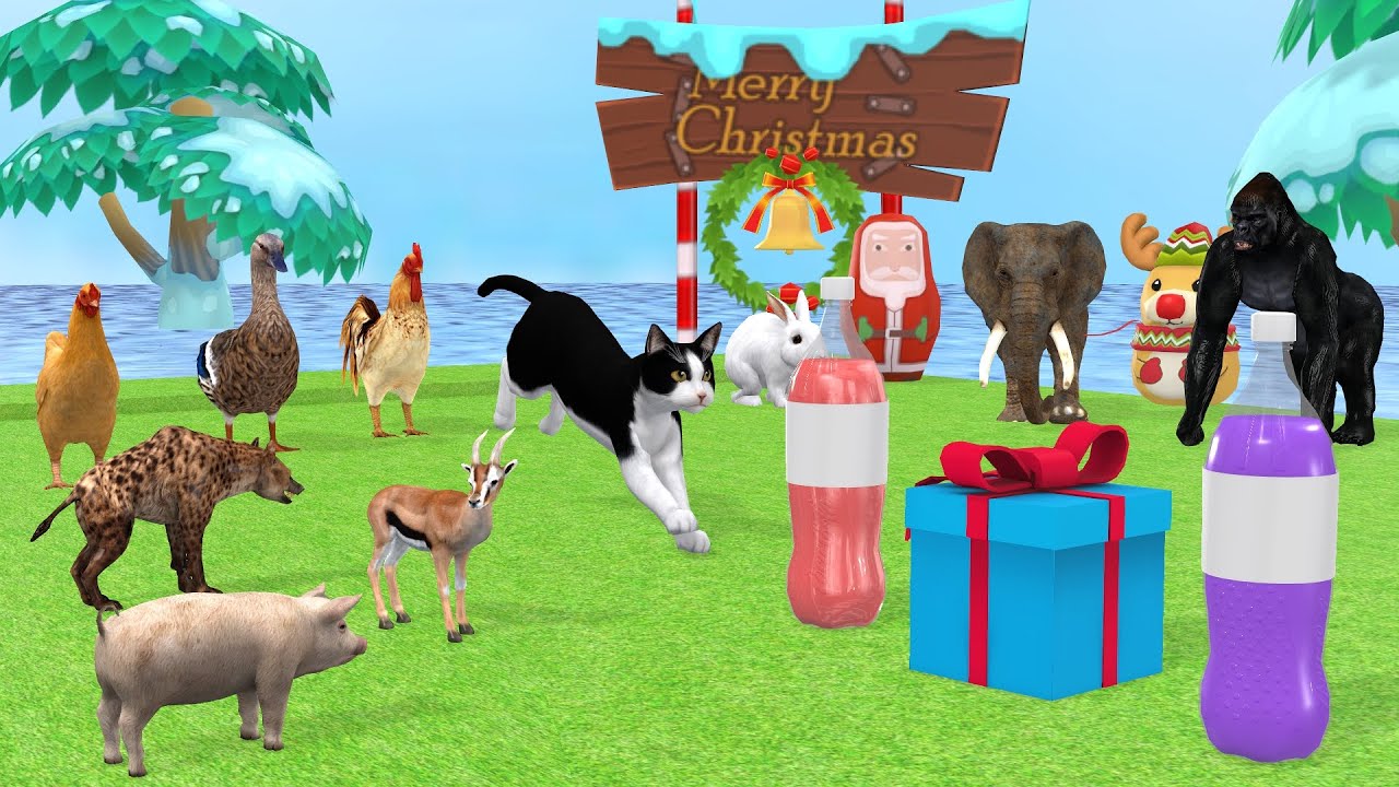 3D Cartoon Surprise Gift Box Animals Choose The Right Drink with cow ...
