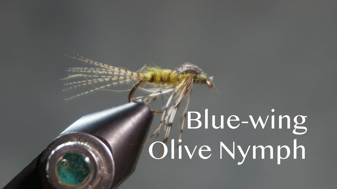 Blue-wing Olive Nymph - YouTube