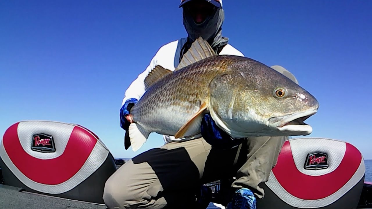 Krazy Kast Lure Unboxing (New Colors!) - YouTube