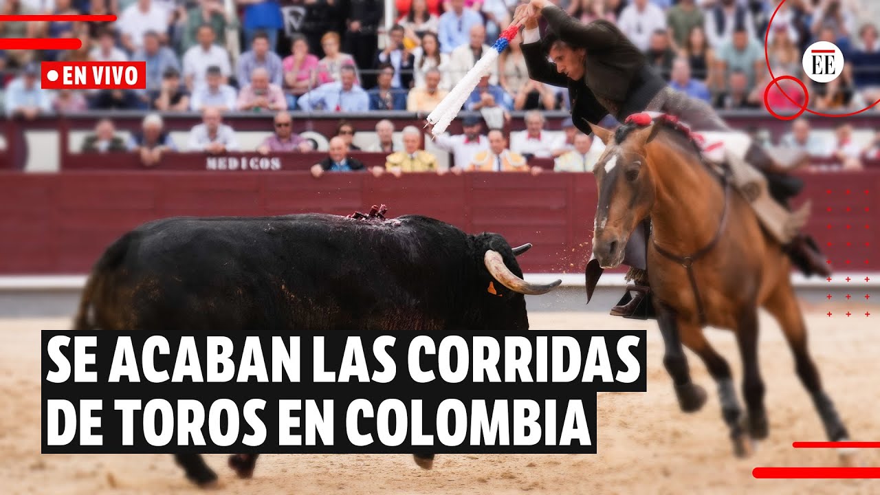 Prohiben corridas de toros: ¿cuándo entra en vigencia esta medida en ...