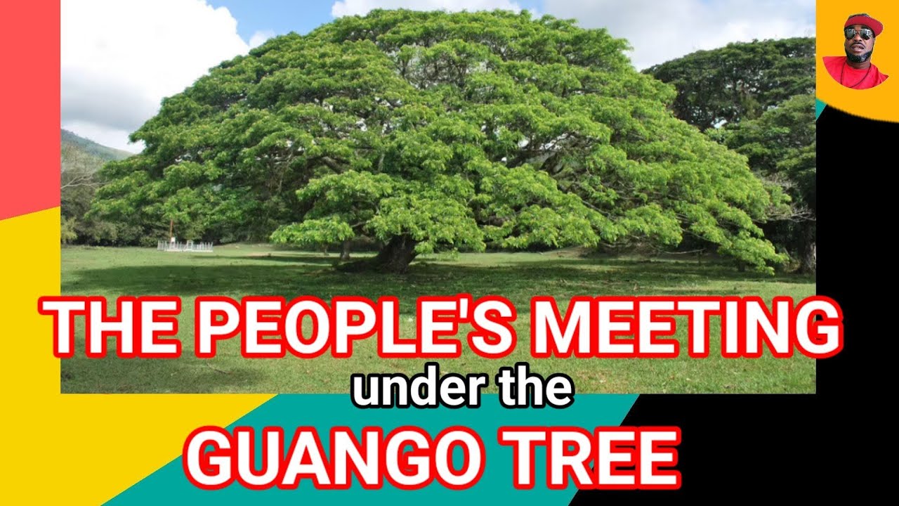 THE PEOPLE'S MEETING UNDER THE GUANGO TREE - YouTube