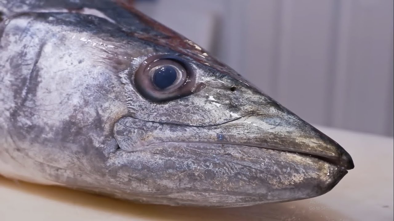 Amazing Giant King Fish Cutting | Professional Skills in Action - YouTube