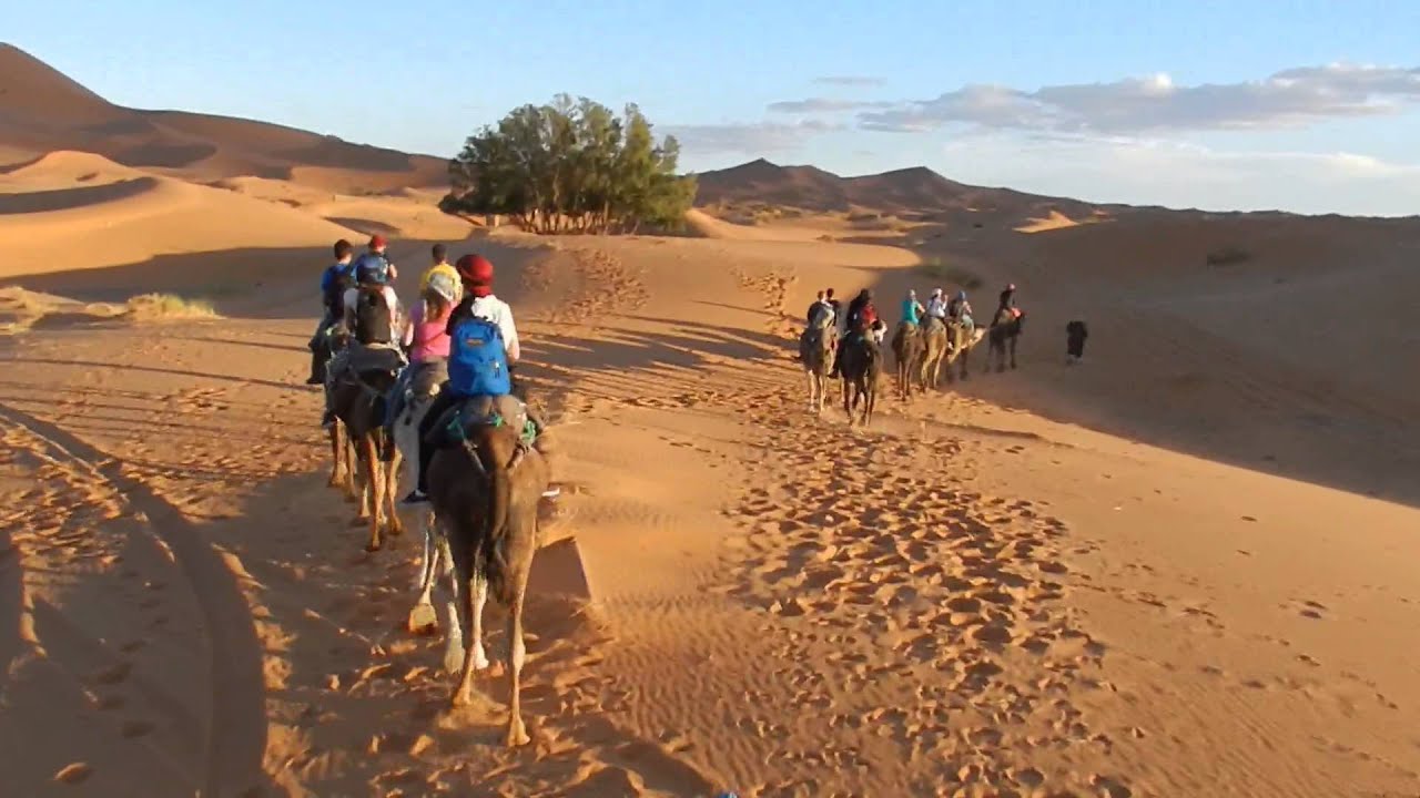 "Cavalgando" dromedários no Deserto do Saara - YouTube