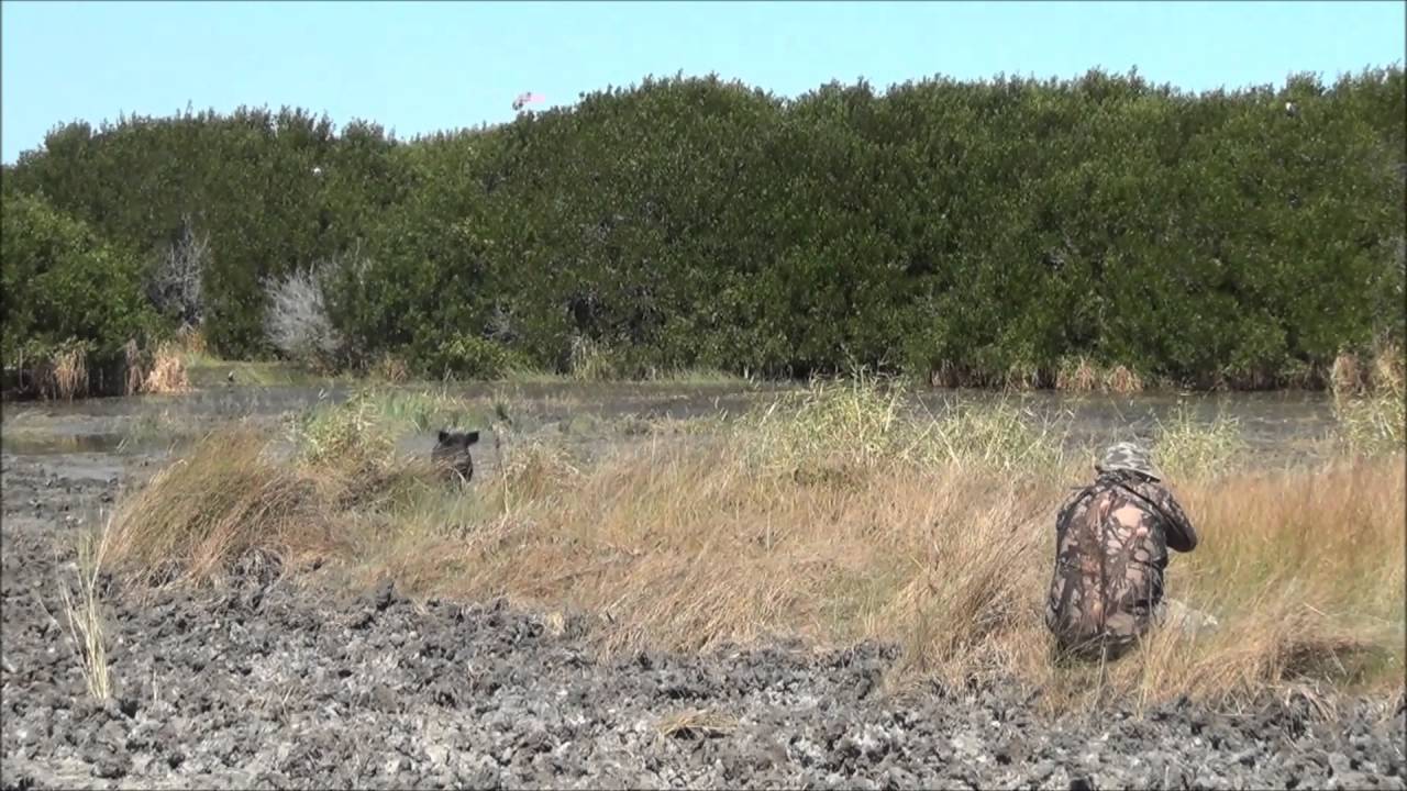 NT PIG HUNTING - YouTube