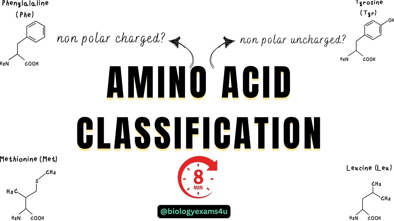 Amino Acid Classification Biochemistry Hack|| How to memorize in 8 ...